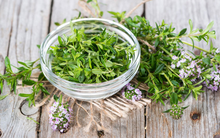 Vëmendje! Këto bimë ju ndihmojnë të keni imunitet më të fortë - Neps